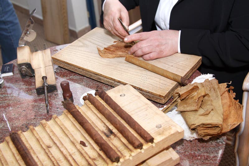 Man making cigars manually stock photo. Image of dried - 122444140