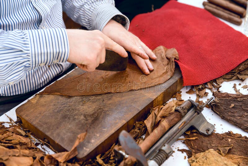 Man making cigars stock image. Image of craft, nicotine - 48453795