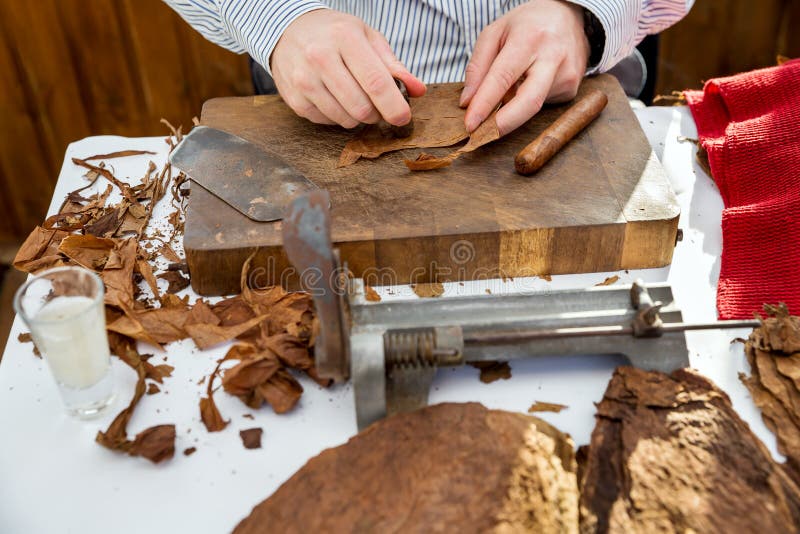 Man making cigars stock photo. Image of handicraft, leave - 56560074