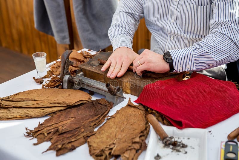 Man making cigars stock image. Image of manufacture, handmade - 91624393