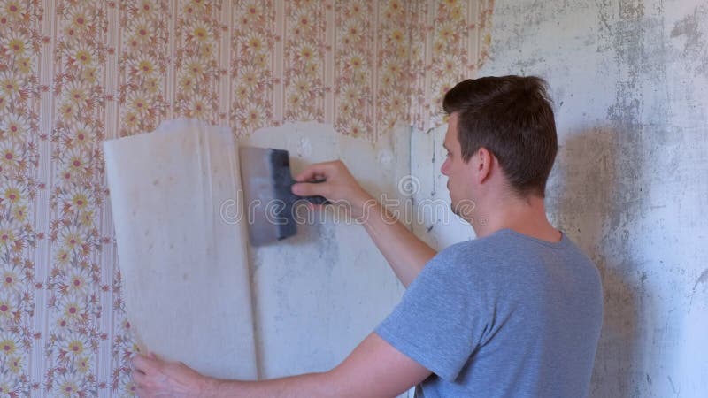 Man is Making Renovation Removing Wallpapers from Wall, Construction ...