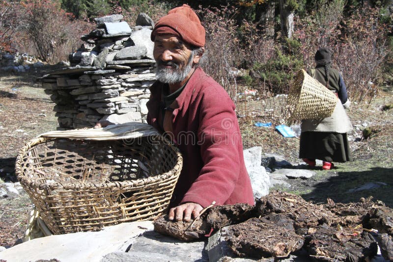 Man with manure editorial image. Image of wrinkle, woman - 36395305