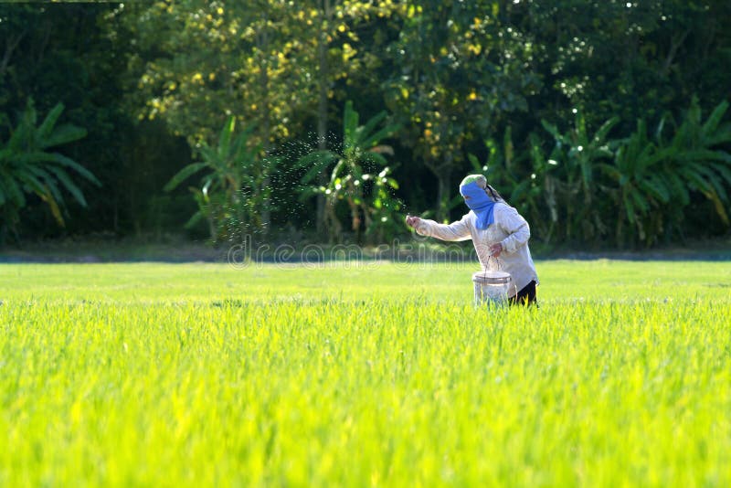Confuse stock image. Image of office, unpleasant, unexpected - 2457883