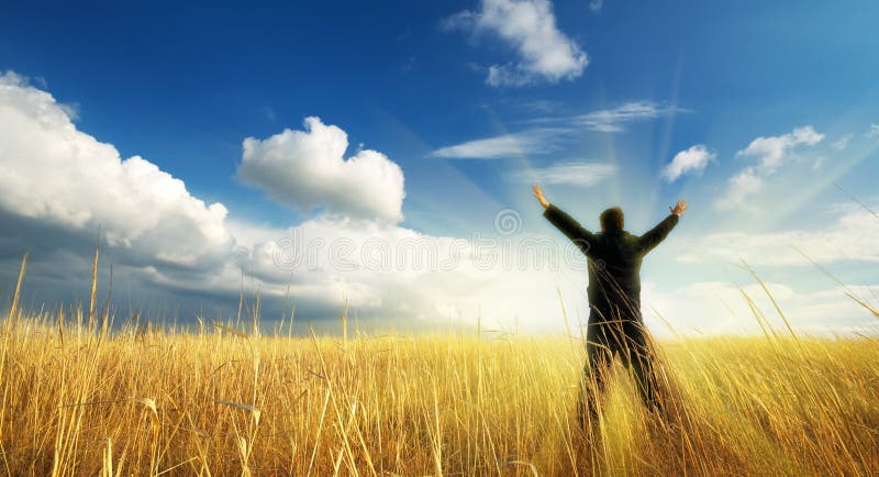 Man in meadow stock image. Image of person, male, life - 14640739