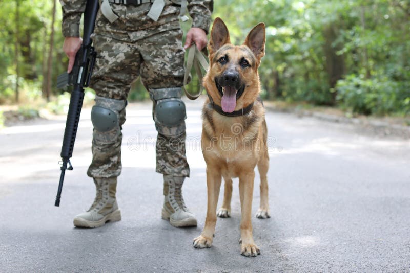 Man in Military Uniform with German Shepherd Dog Stock Photo - Image of ...