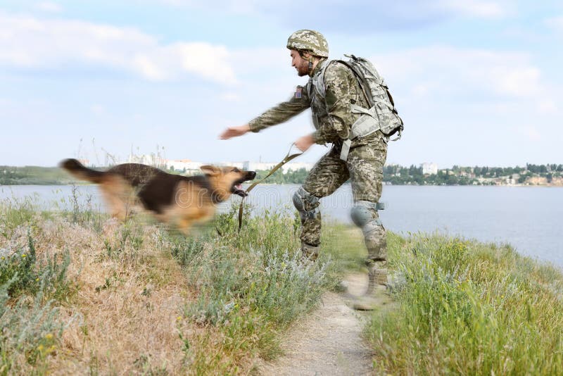 Man in Military Uniform with German Shepherd Dog Outdoors Stock Image ...