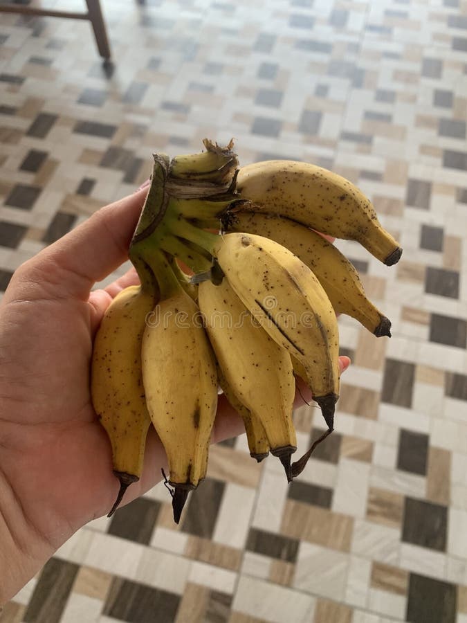 Man with a Mini Bunch of Bananas in His Hand Stock Photo - Image of ...
