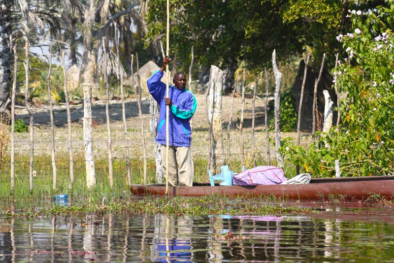 Man in a mokoro editorial photo. Image of trees, boat - 89850491