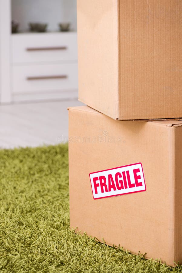 The Man Moving House and Relocating with Fragile Items Stock Image ...