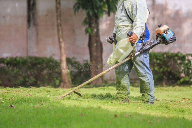 Man Mowing the Grass with Portable Machine in the Garden Stock Image ...