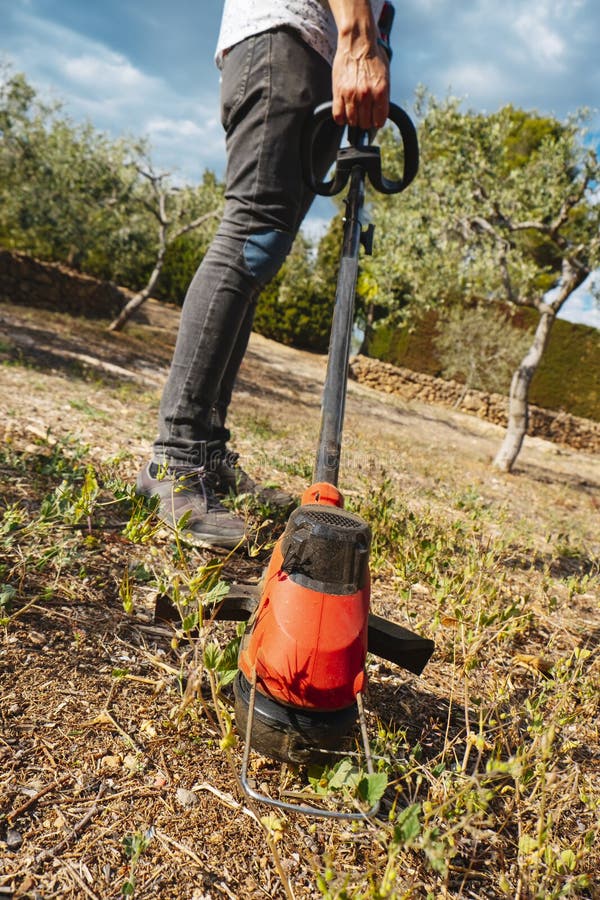 String Trimmer Mowing Big Grass, Time Stopped, Particles of Grass and ...