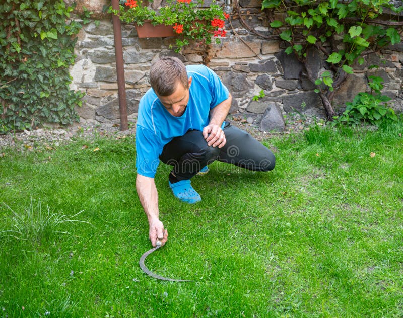 Hand holding a sickle stock photo. Image of blade, revolution - 24107070