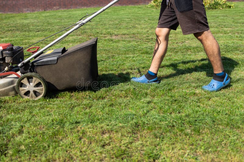 Man Mowing the Lawn in the Backyard. Stock Image - Image of grass ...