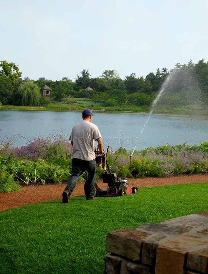 Man mowing lawn in park stock image. Image of green, summer - 909699