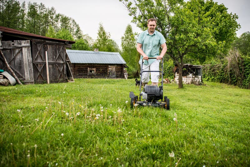 Man is Mowing the Lawn in Summer Stock Photo - Image of people, meadow ...