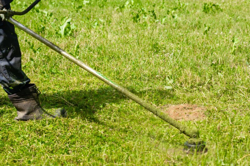 Man Mows a Grass by Means of a Manual Lawn-mower Stock Image - Image of ...