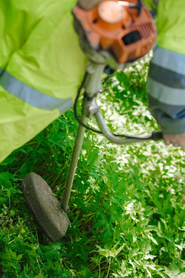 A Man Mows Green Grass with a Manual Lawn Mower. Summer Stock Photo ...
