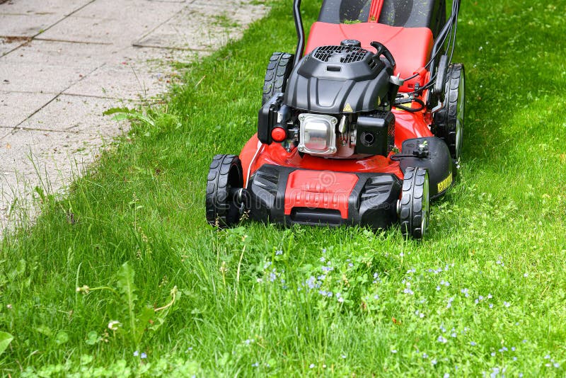 A Man Mows Lawn Grass with a Lawn Mower at Home Stock Image - Image of ...