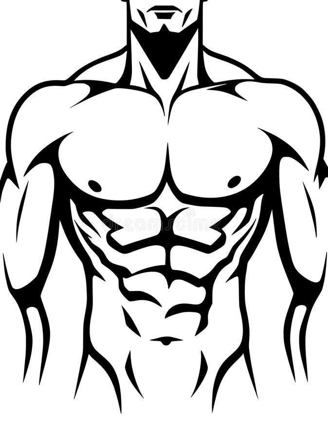 A Man with a Muscular Body and a Large Chest Stock Illustration ...
