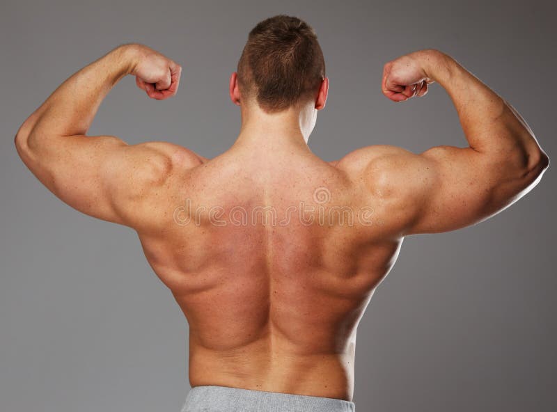 Man with Muscular Torso Posing Stock Image - Image of muscle, exercise ...
