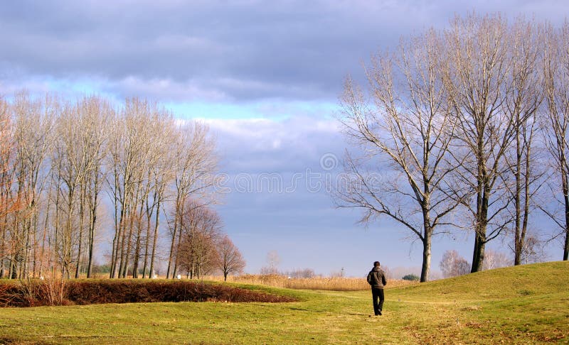 Man in nature stock image. Image of seasonal, plant, court - 12685969