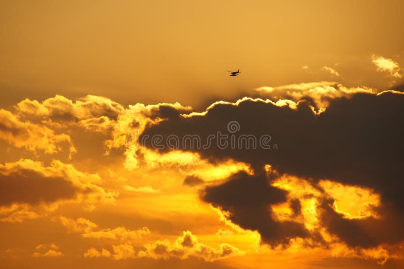 Man and nature stock photo. Image of purple, rise, paradise - 20466316