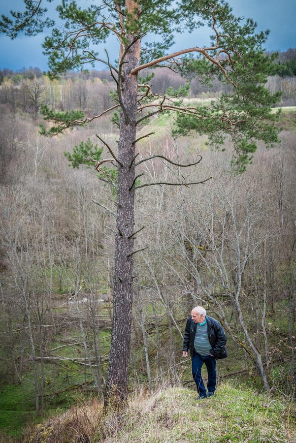 Man in nature alone stock image. Image of spring, outdoors - 87733973