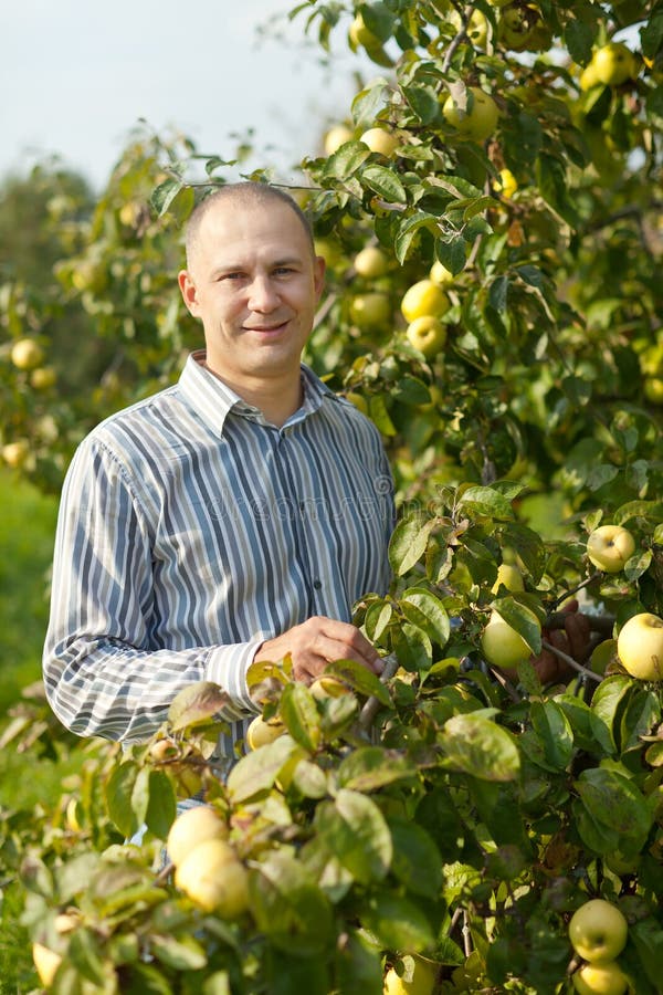 Under the apple tree stock image. Image of fresh, ederly - 3295953