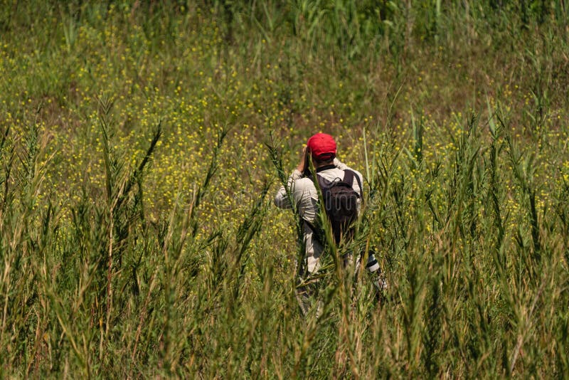 A Man Observing Nature with Binoculars. Birdwatcher Stock Photo - Image ...