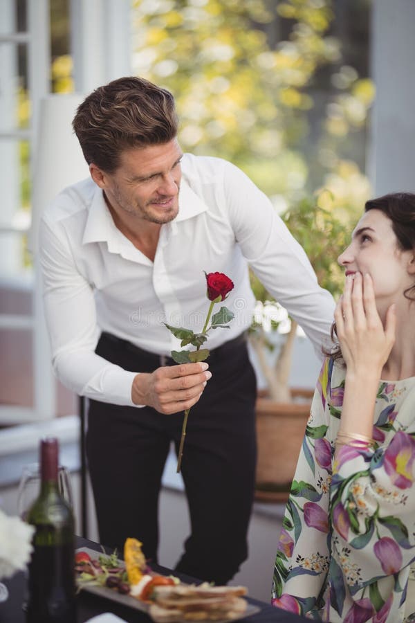 Man Offering a Red Rose To Girlfriend Stock Image - Image of view ...