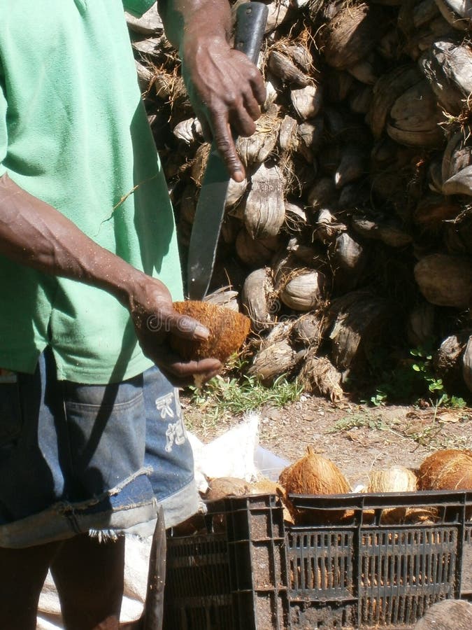 224 Coconut Mass Stock Photos - Free & Royalty-Free Stock Photos from ...