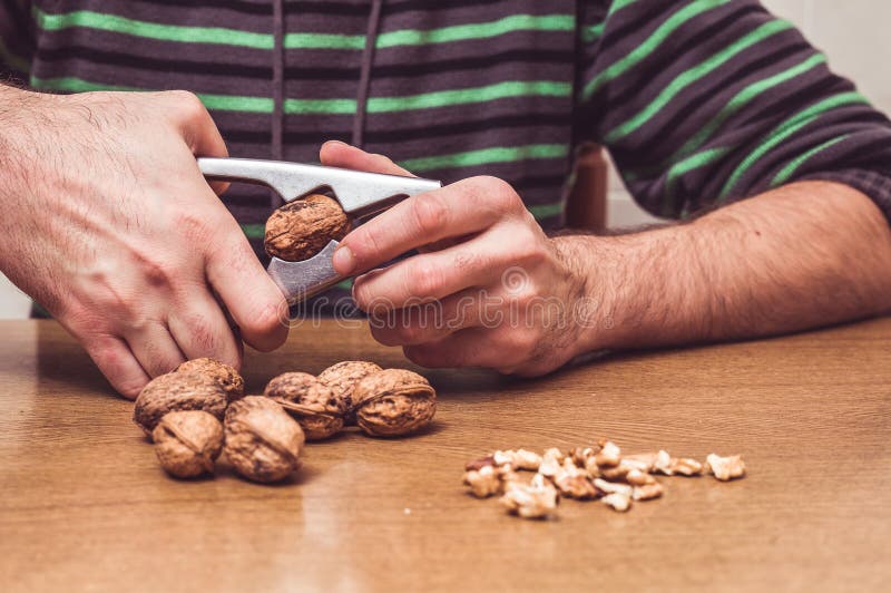 Man Opening Some Walnuts on a Table Stock Photo - Image of shell ...