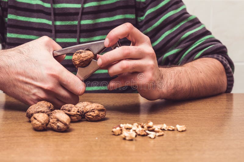 Man Opening Some Walnuts on a Table Stock Image - Image of utensil ...
