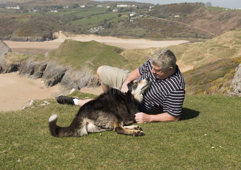 Man Outdoors with Sheep Dog Stock Photo - Image of leisure, tranquil ...