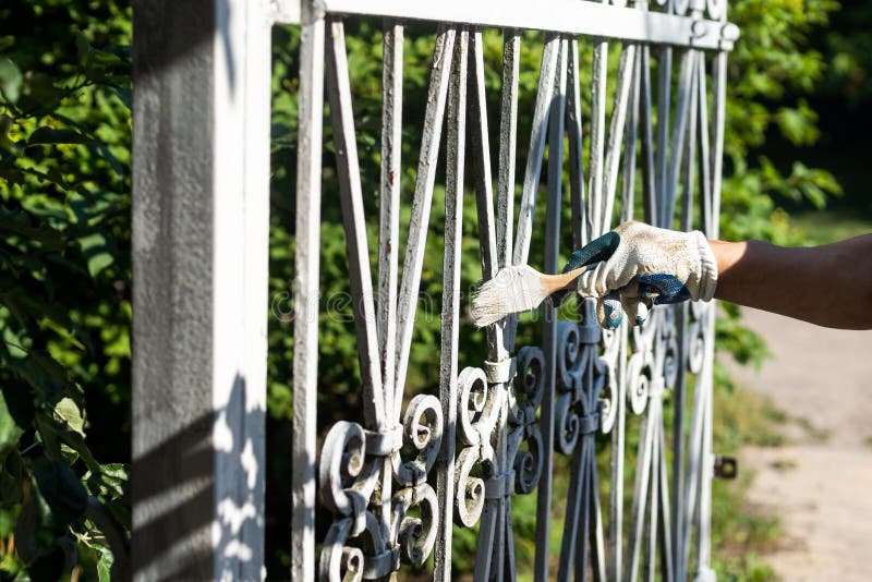 A Man Paints a Gate and a Fence Stock Photo - Image of hand, gate ...
