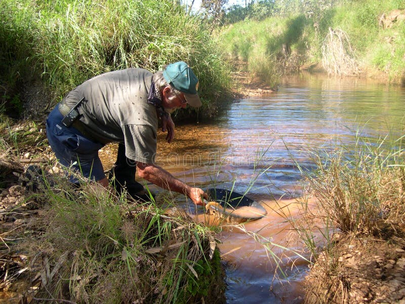 Man panning for gold editorial photo. Image of australia - 30473436