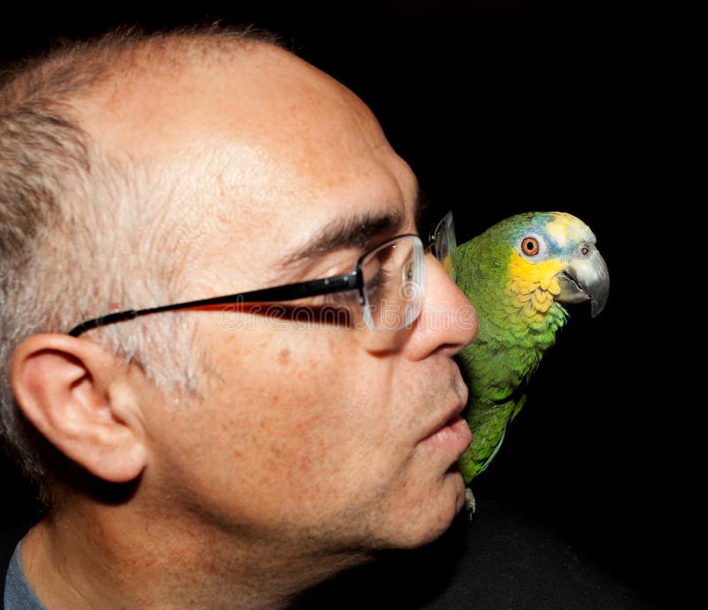 Man and Parrot stock photo. Image of parrot, amazon, parakeet - 8622550