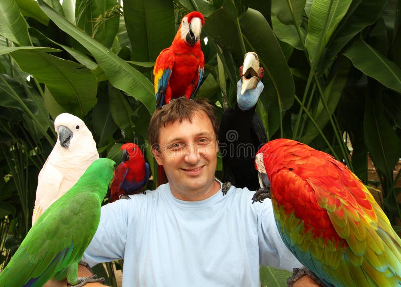 Man and parrots stock image. Image of impersonate, macaw - 16943743
