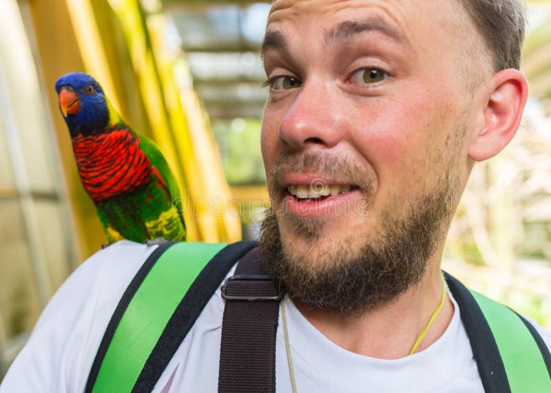 Man with Parrots Sitting on the Shoulder and Head Stock Photo - Image ...