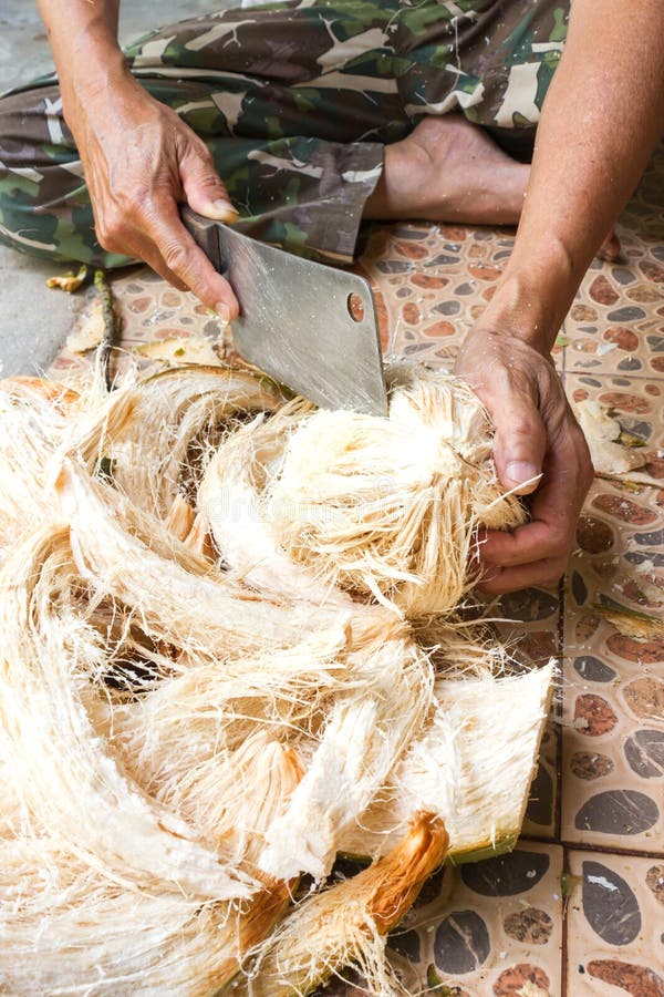 Man peeling coconut stock image. Image of hand, drink - 34631831