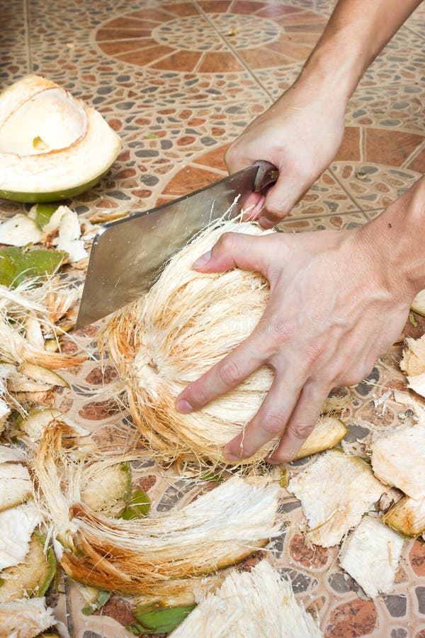 Man peeling coconut shell. stock image. Image of health - 56899093