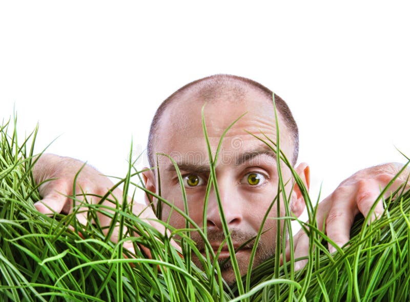 Grass hair stock photo. Image of ecology, head, holding - 8935454