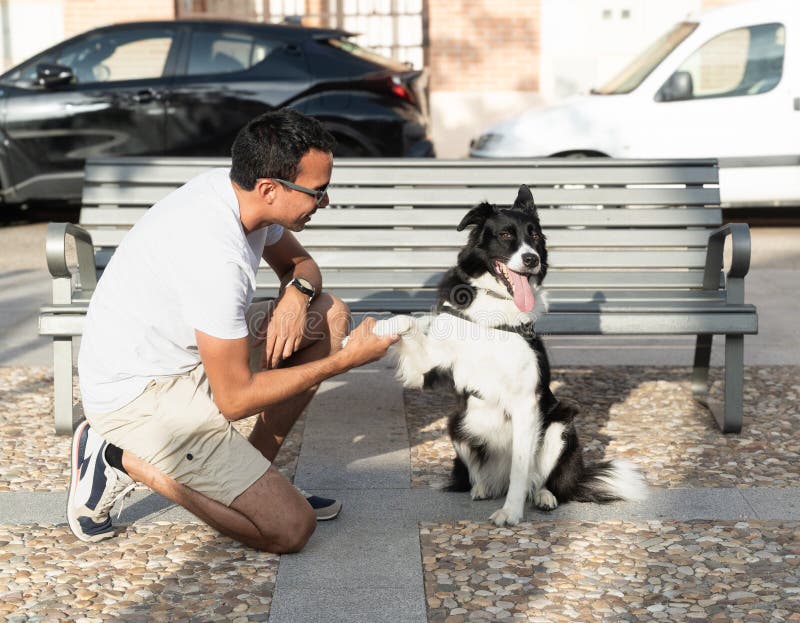 A Man is Petting a Dog on a Bench Stock Image - Image of looking ...
