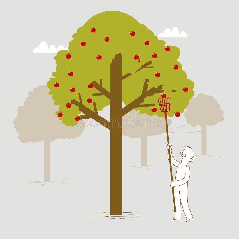 Picking Fruit Stock Illustrations – 1,837 Picking Fruit Stock ...