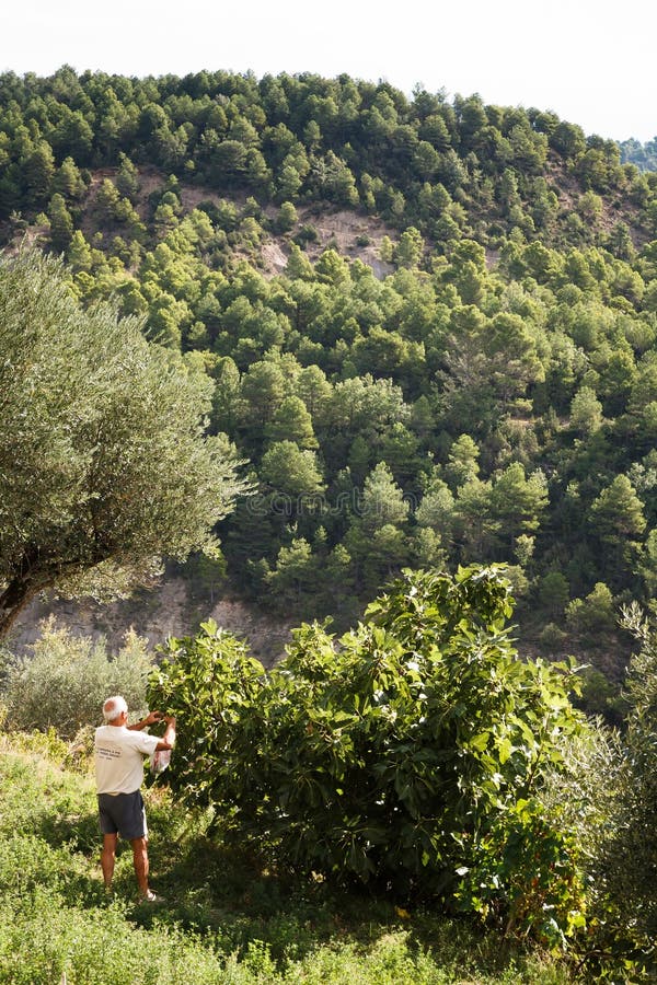Spanish Countryside editorial photo. Image of village - 69186906