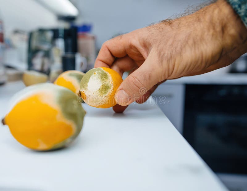 Man Placing Moldy Lemon Next To Another Moldy Lemon on Marble Kitchen ...