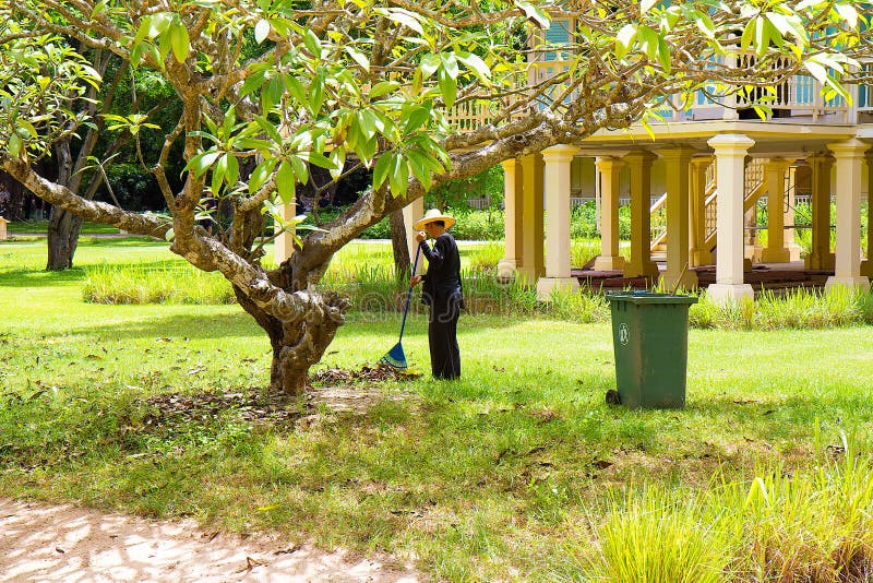 Man Planting Crops in Communal Garden Stock Photo - Image of employee ...