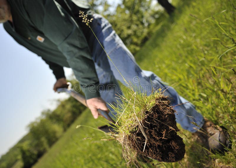 Man planting tree stock photo. Image of gardening, nature - 10433478
