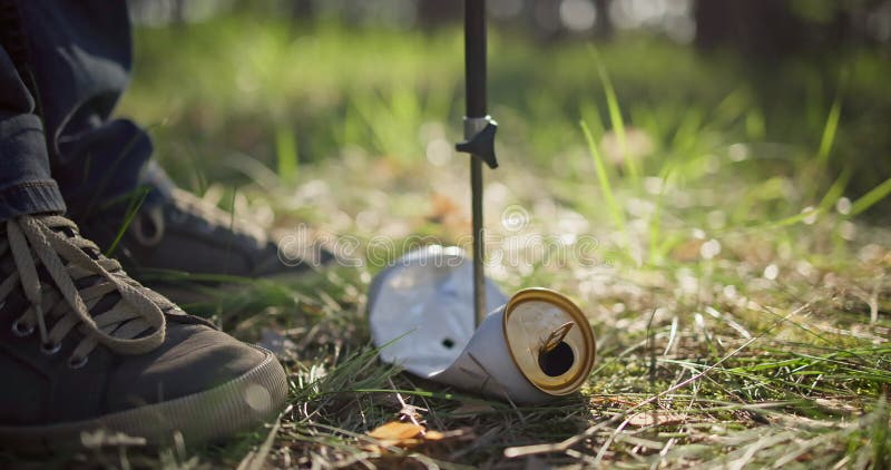 A Man with a Plastic Bag Collects Garbage in the Forest by Impaling it ...