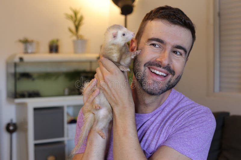 Man with a playful ferret stock image. Image of hispanic - 238867083
